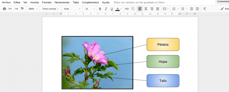 Utilizar dibujos para insertar imágenes en documentos de Google ...