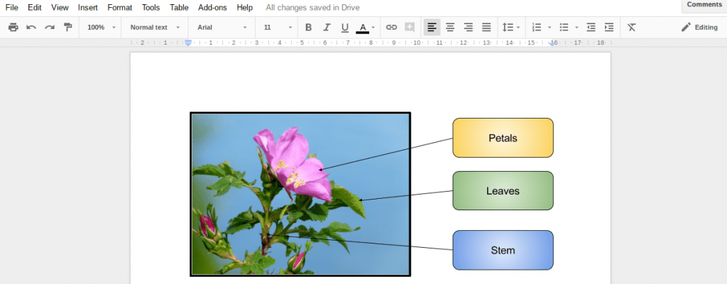 Using drawings to insert images into Google documents - Tecnocentres
